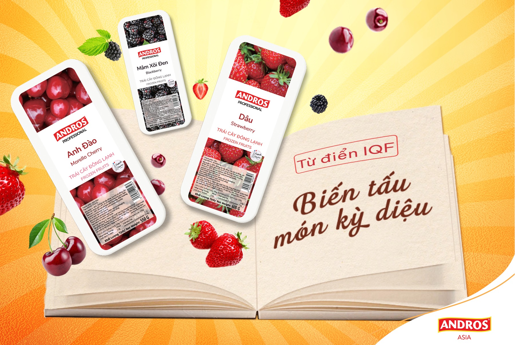 Phúc Bồn Tử Đỏ Đông Lạnh Andros Hộp 500g - Frozen Raspberry - HavaMall ...